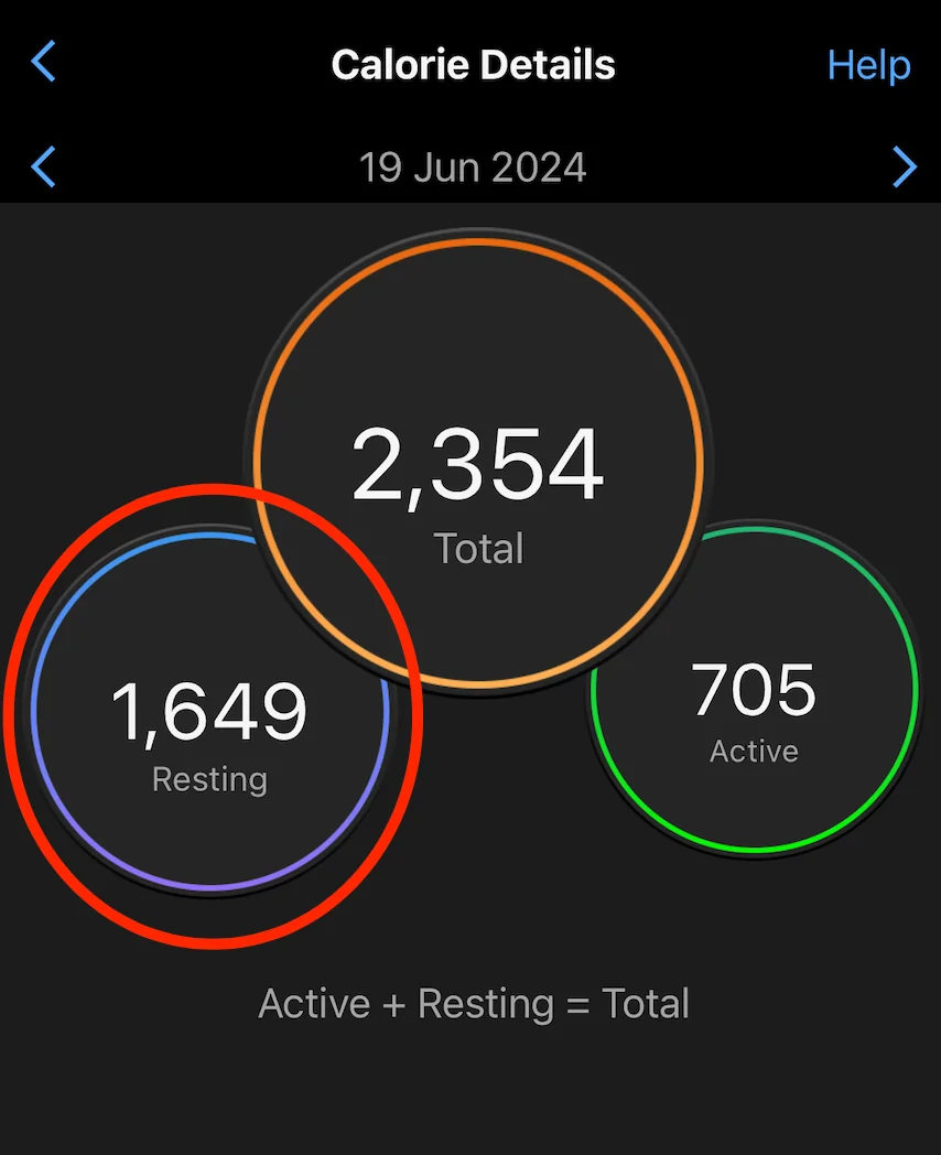 Garmin – Cronometer